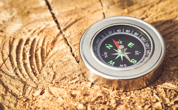 How to gain expert intuition from self learning and why it impacts ...